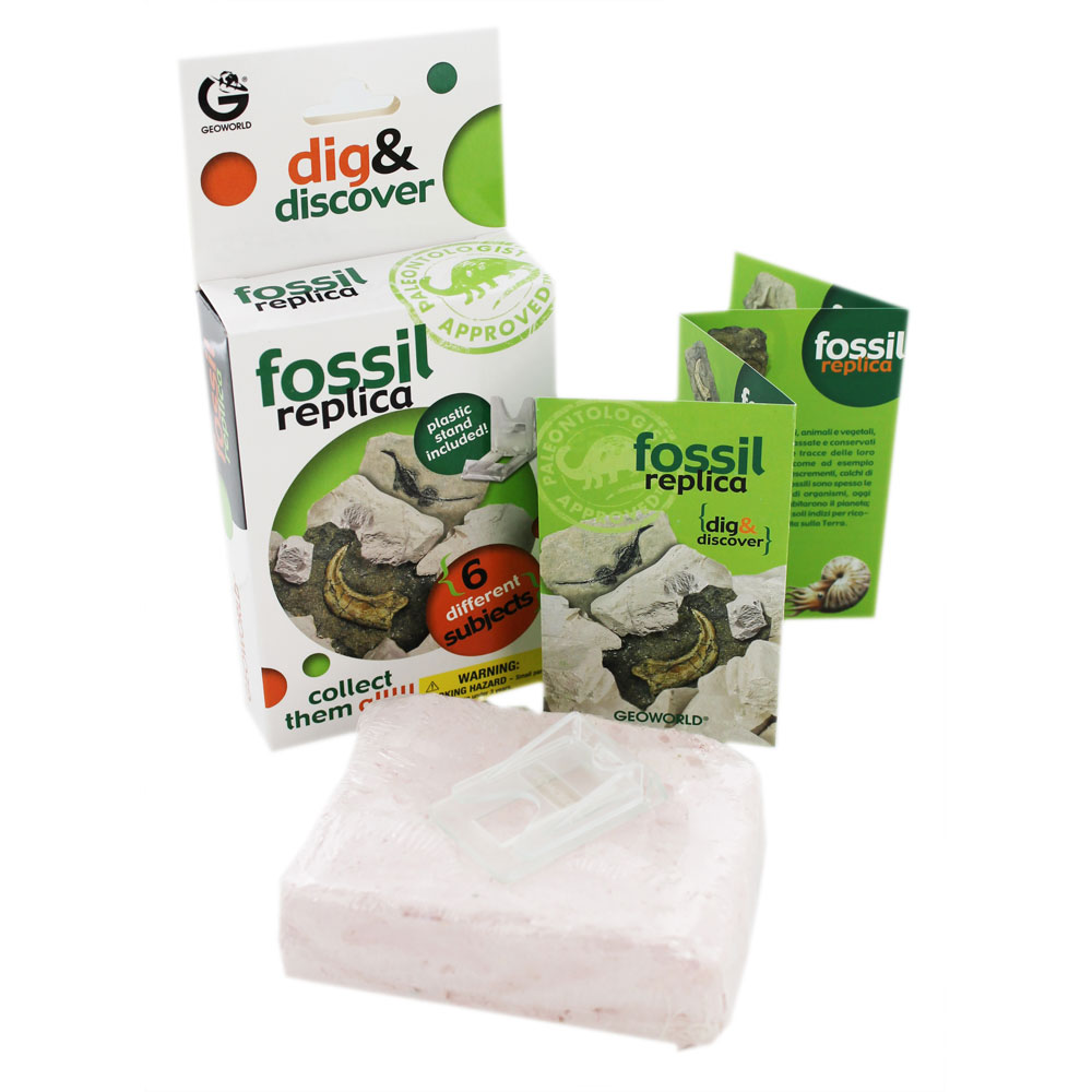 Dig & Discover Fossil Replica Excavation Kit | Fossils for Sale