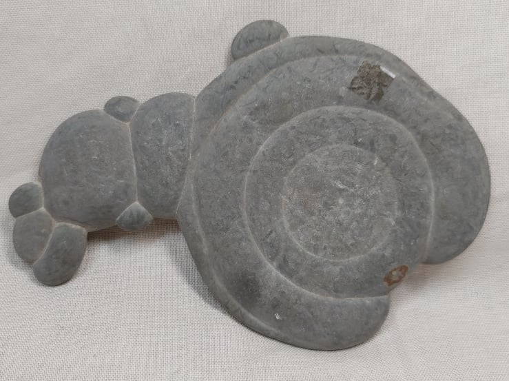 “Fairy Stone” #23 | Fossils for Sale