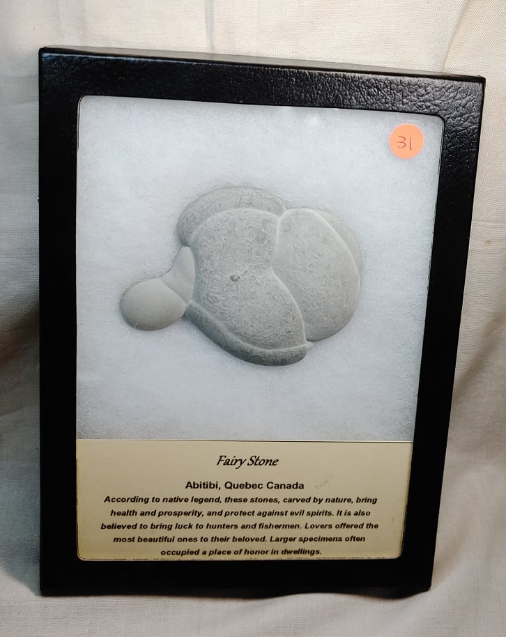 “Fairy Stone” #31 | Fossils for Sale