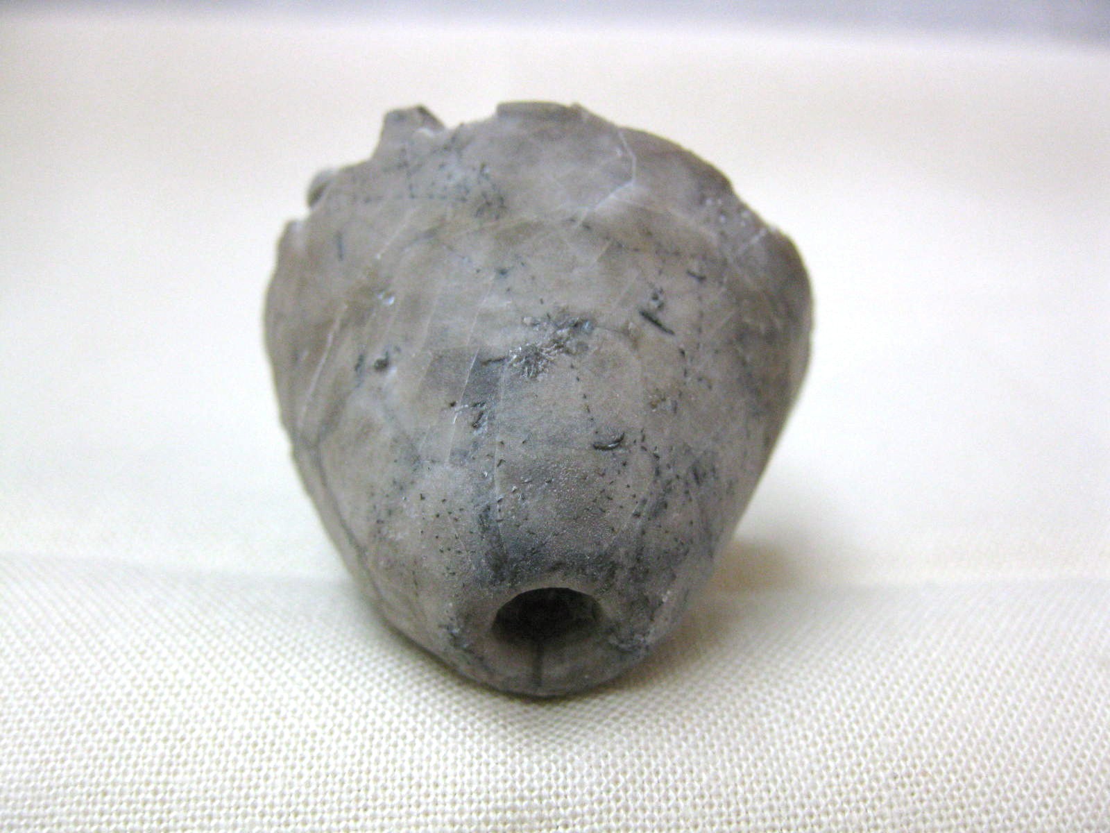 Indiana Waldron Shale Crinoid Calyx #4 | Fossils for Sale