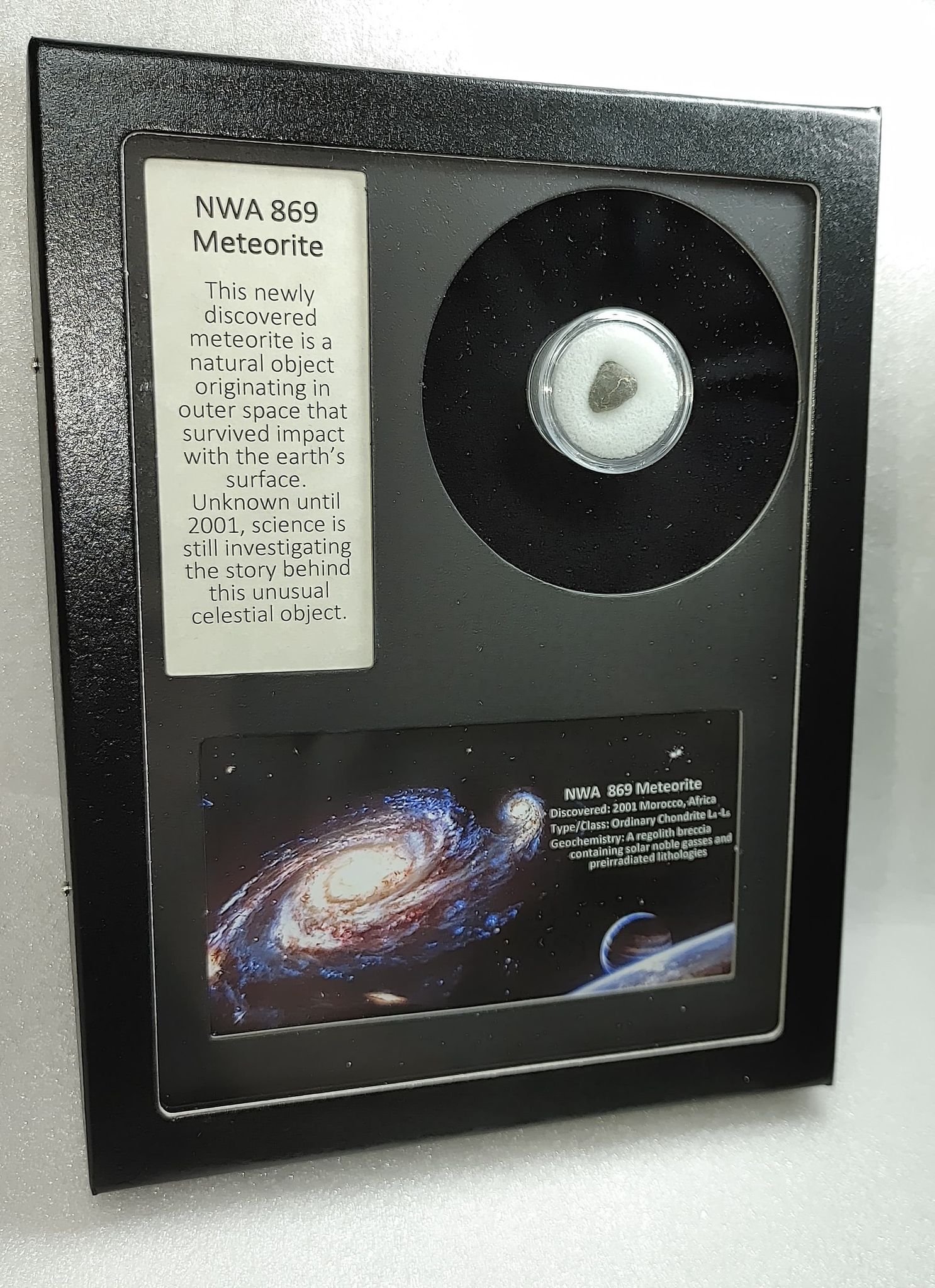 NWA #869 Meteorite Frame #4 | Fossils for Sale