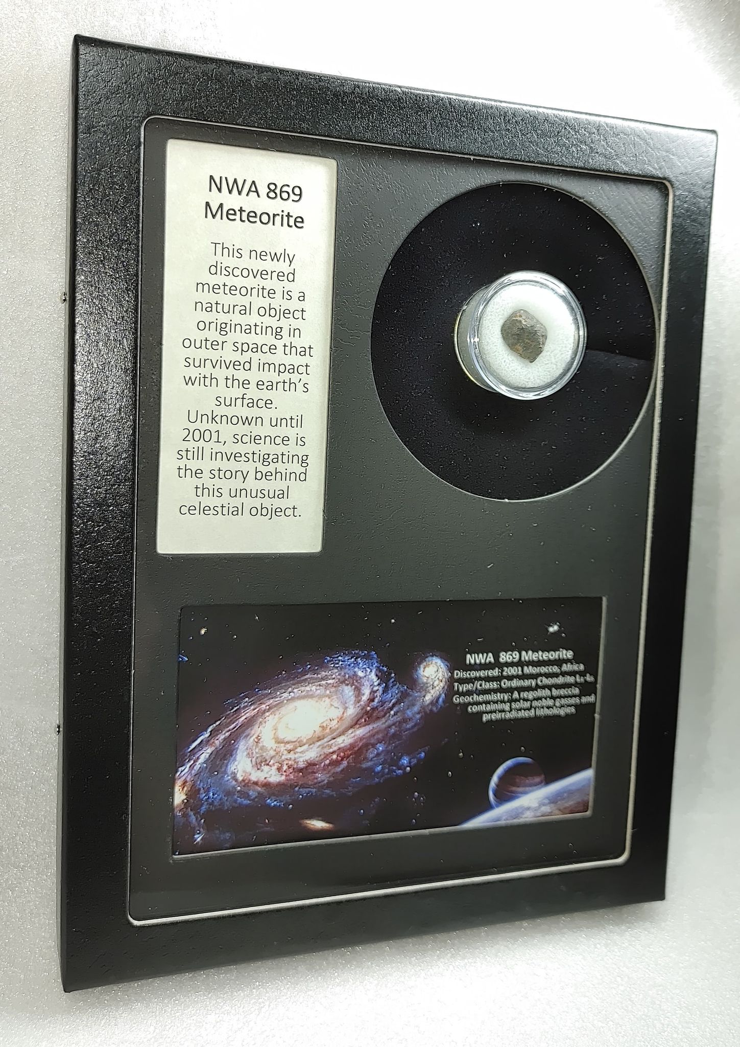 NWA #869 Meteorite Frame #5 | Fossils for Sale