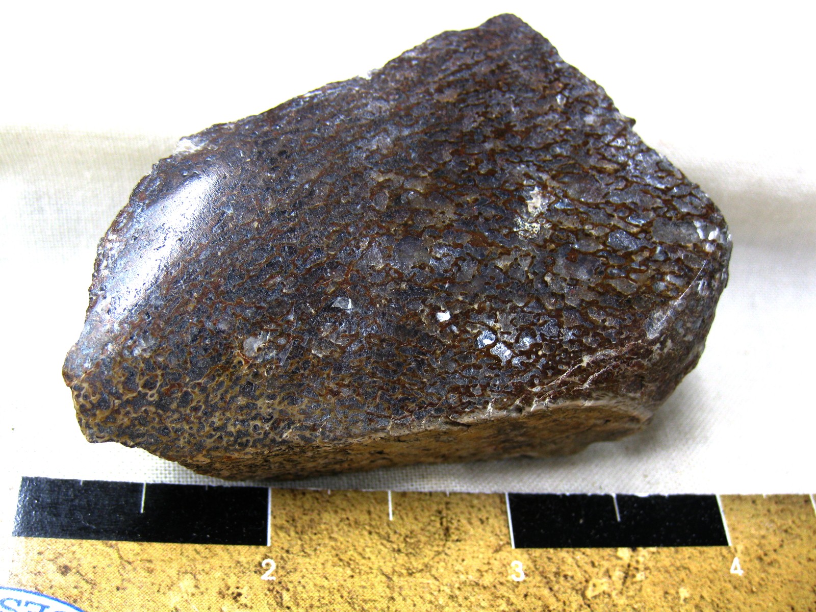 Polished Jurassic Dinosaur Bone #110 | Fossils for Sale