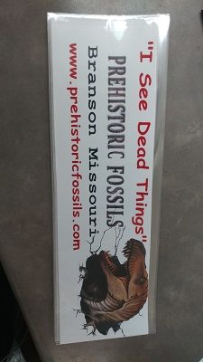 Prehistoric Fossils Bumper Stickers | Fossils for Sale