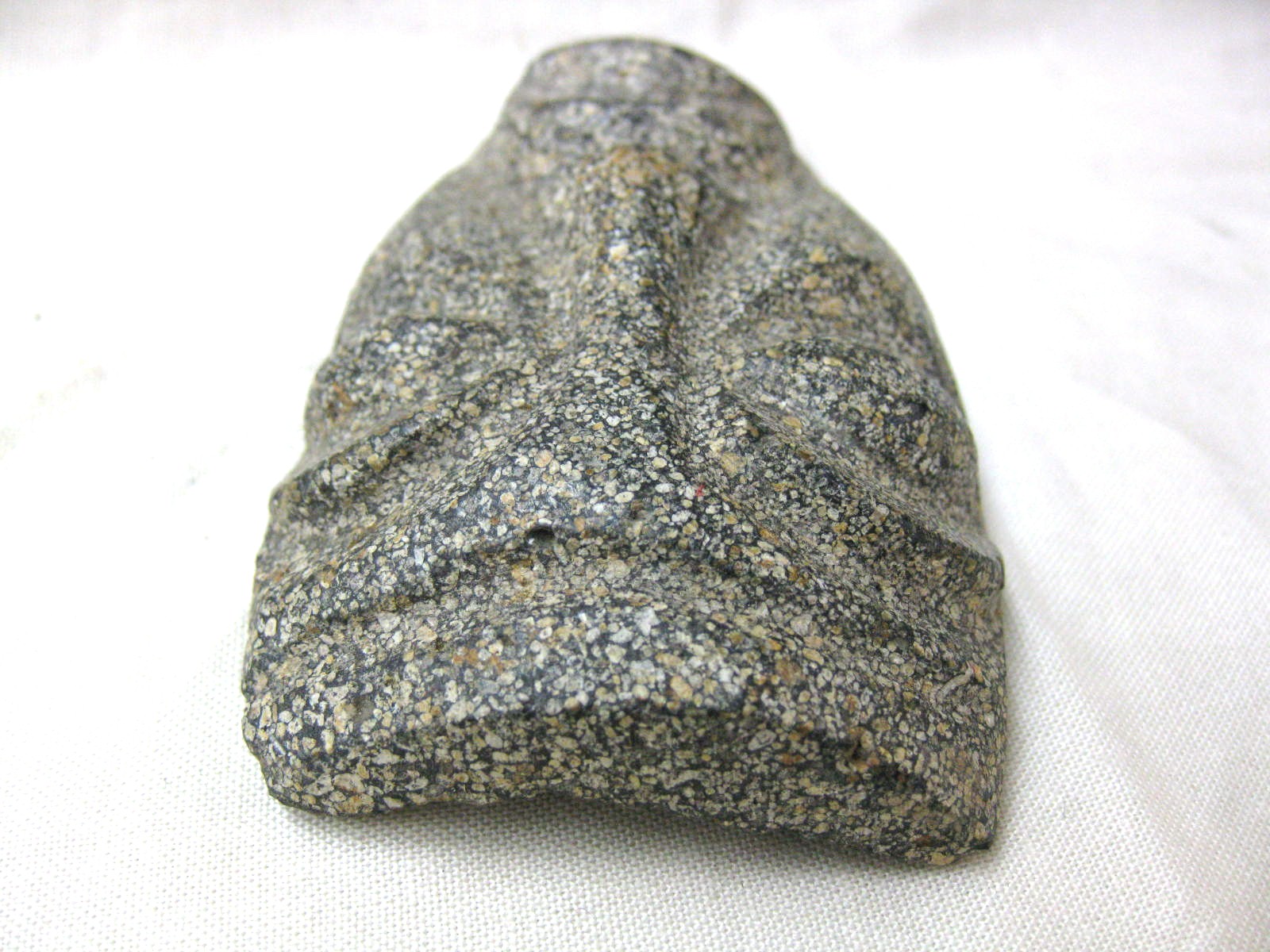 Stegodon Bone-Tusk Carving #24 | Fossils for Sale