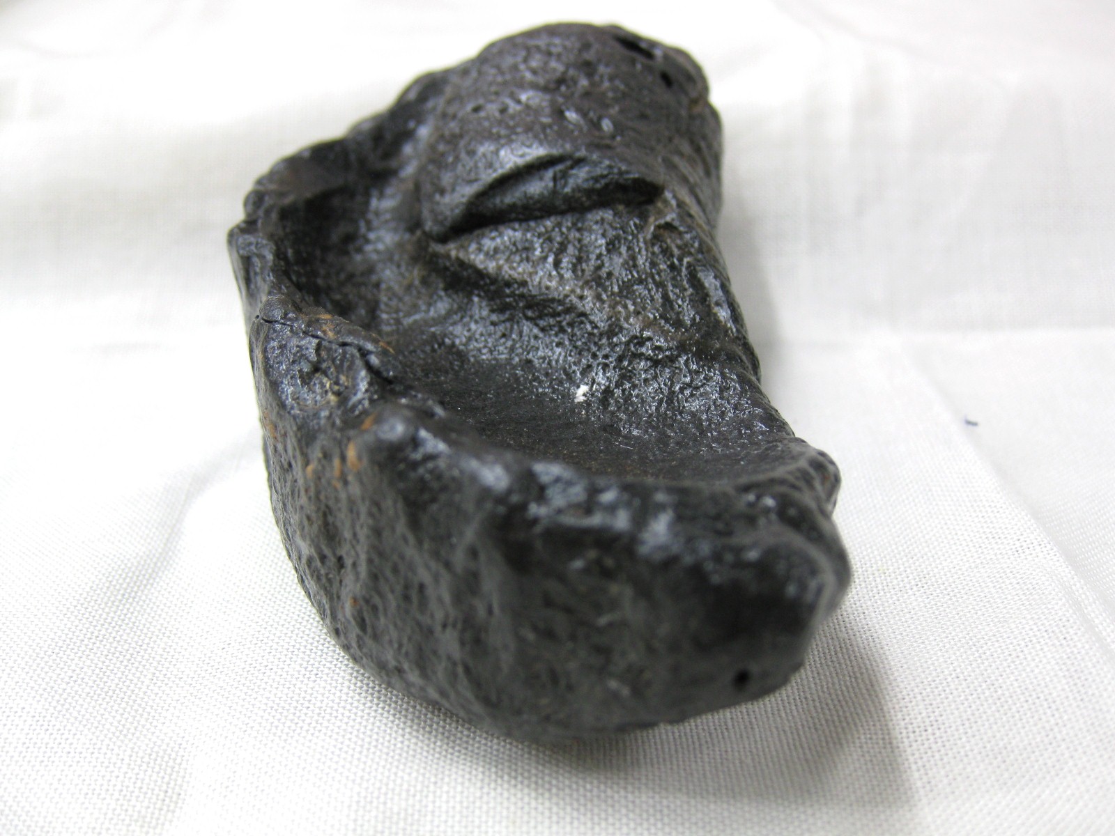 Whale Ear Bone #2 | Fossils for Sale