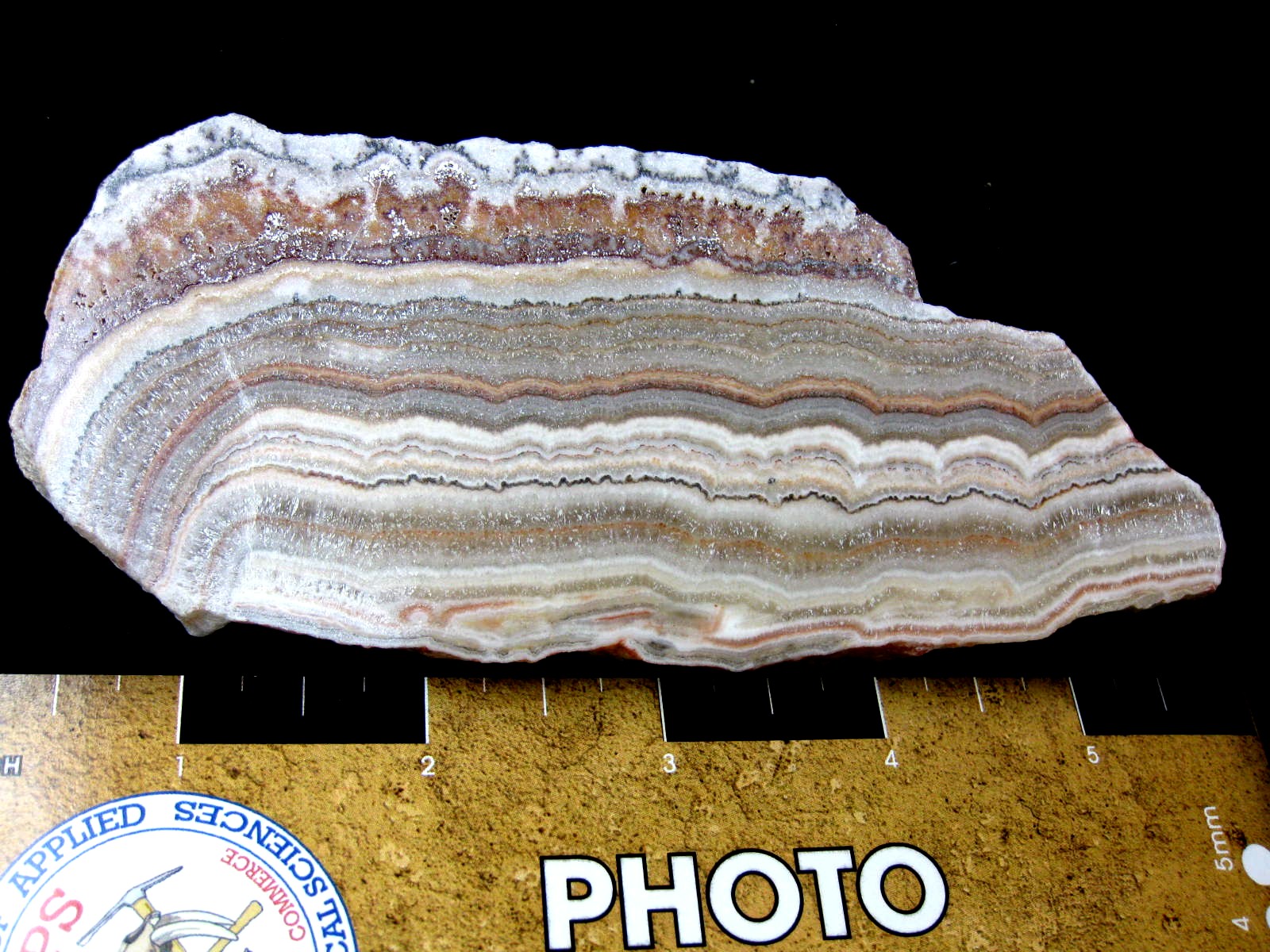 Rainbow Calcite #1 | Fossils for Sale