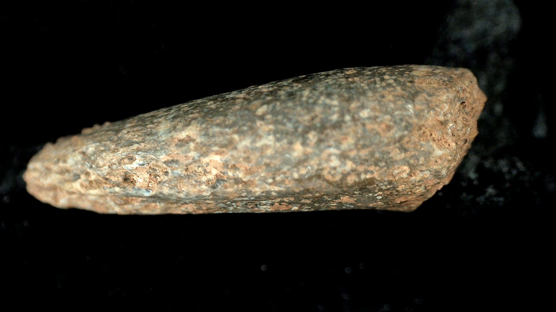 Morocco-Cretaceous-Sauropod-Dinosaur-Claw-6c.jpg for sale