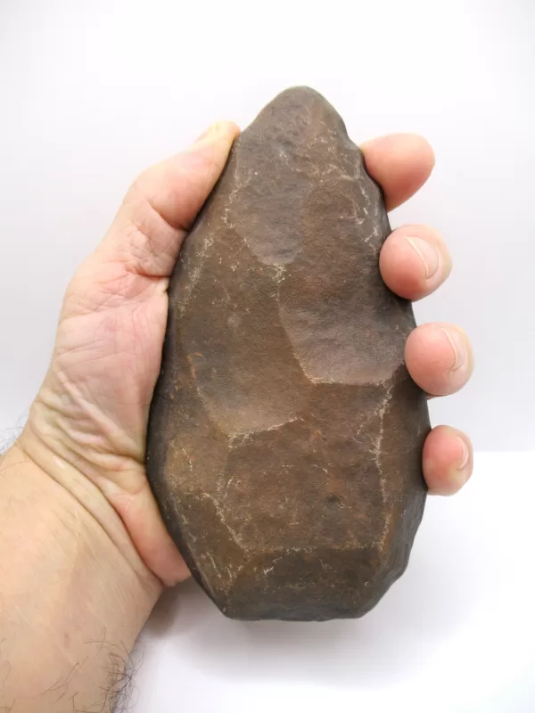 Paleolithic Hand Tool | Morocco #2 | Fossils for Sale