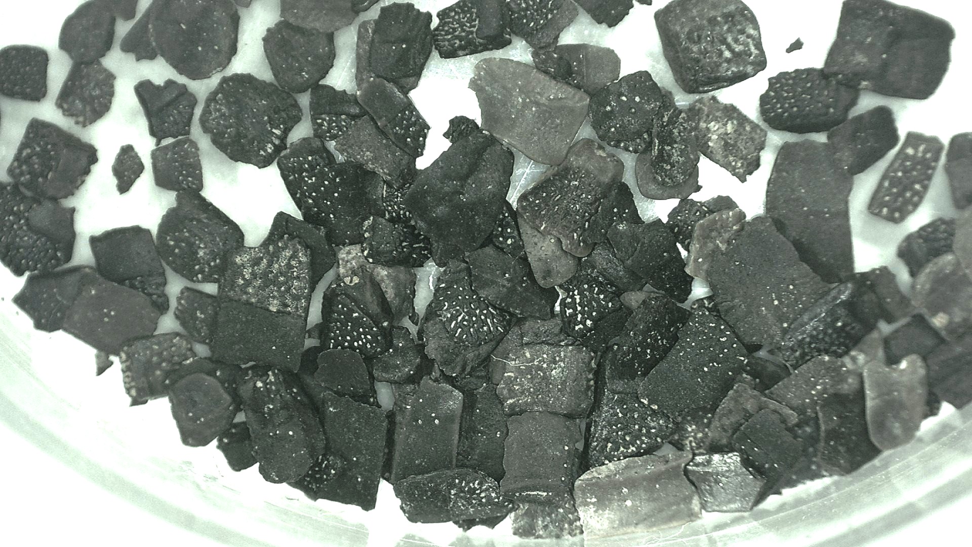 Cretaceous Lizard Scale from Group | Fossils for Sale