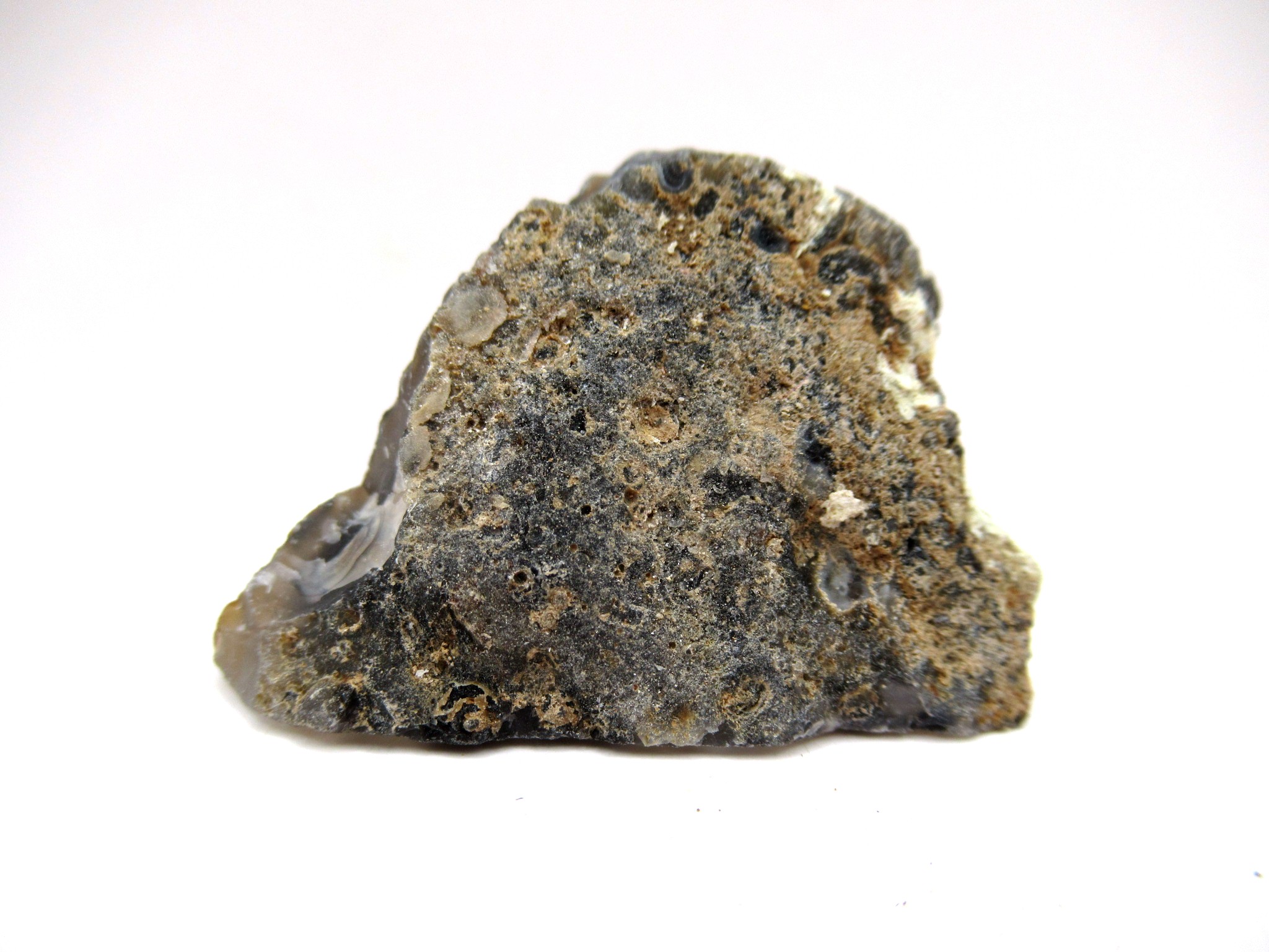 Brazil Geode Half – Small #10 | Fossils for Sale