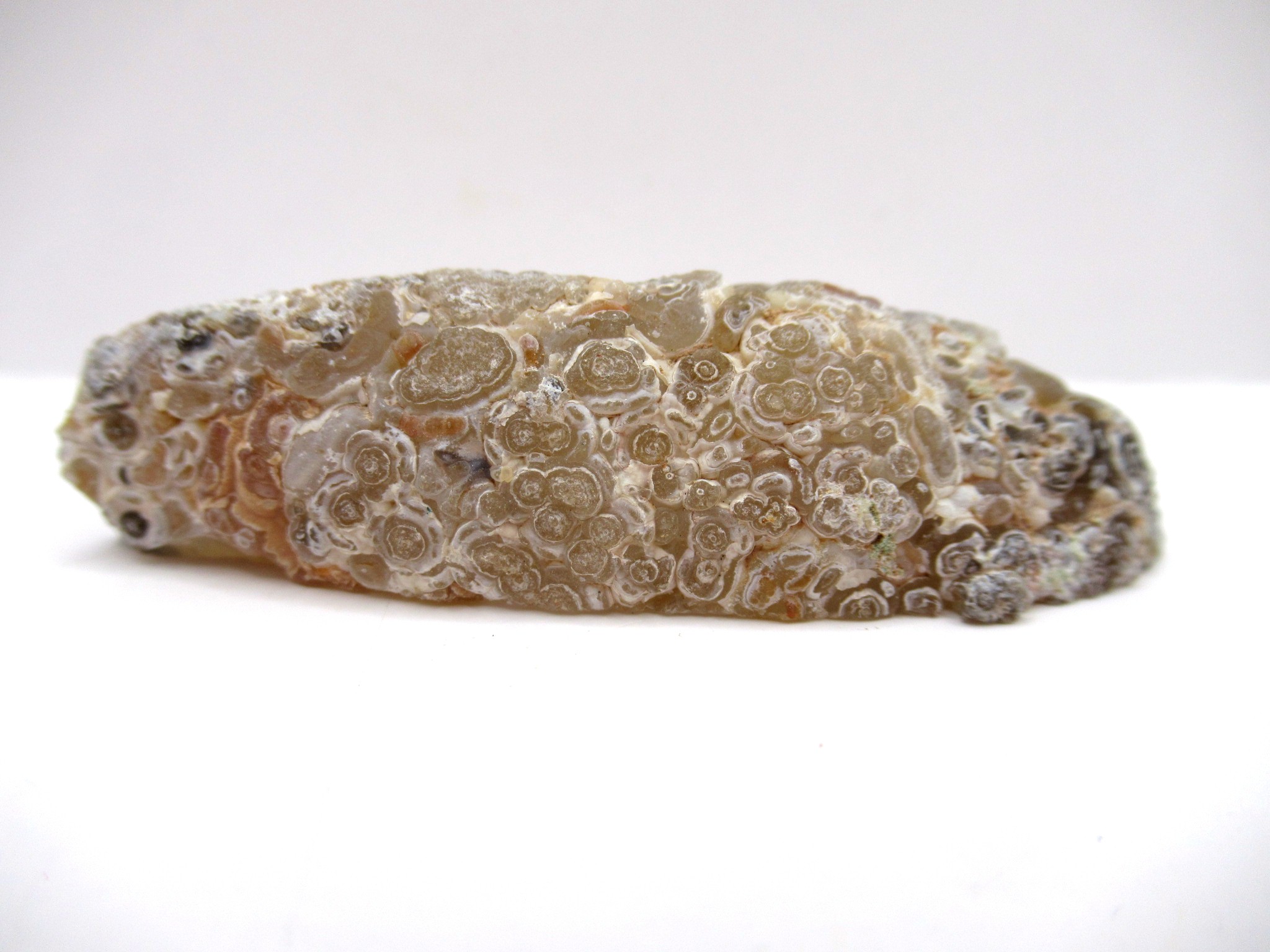 Brazil Geode Half – Small #2 | Fossils for Sale