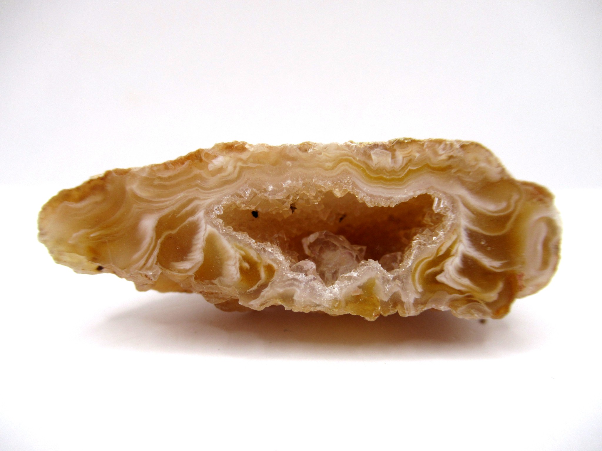 Brazil Geode Half – Small #4 | Fossils for Sale