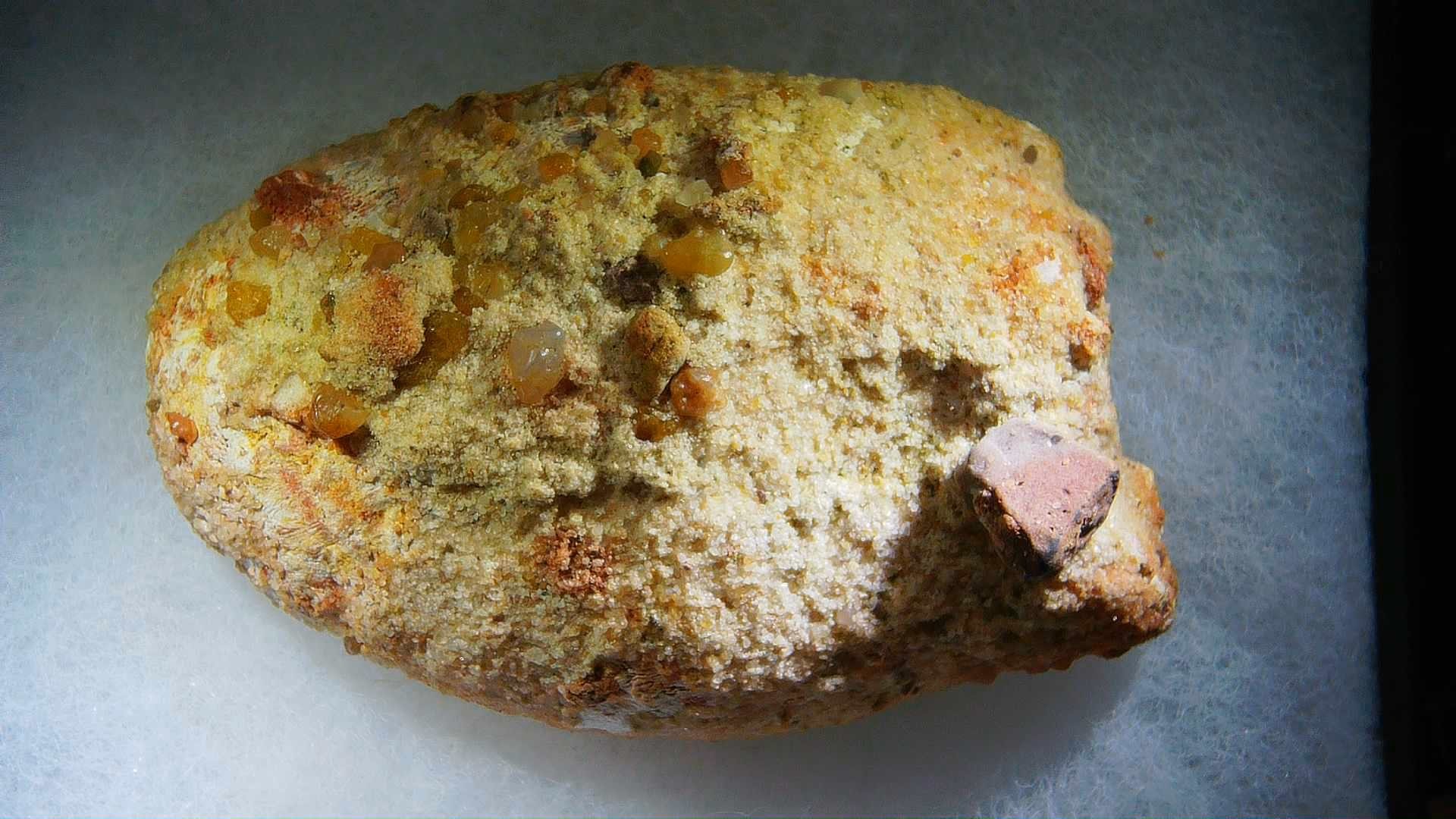 Coprolite | Cretaceous Fish or Shark #42 | Fossils for Sale