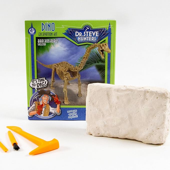 Brachiosaurus Dinosaur Excavation Kit | Fossils for Sale