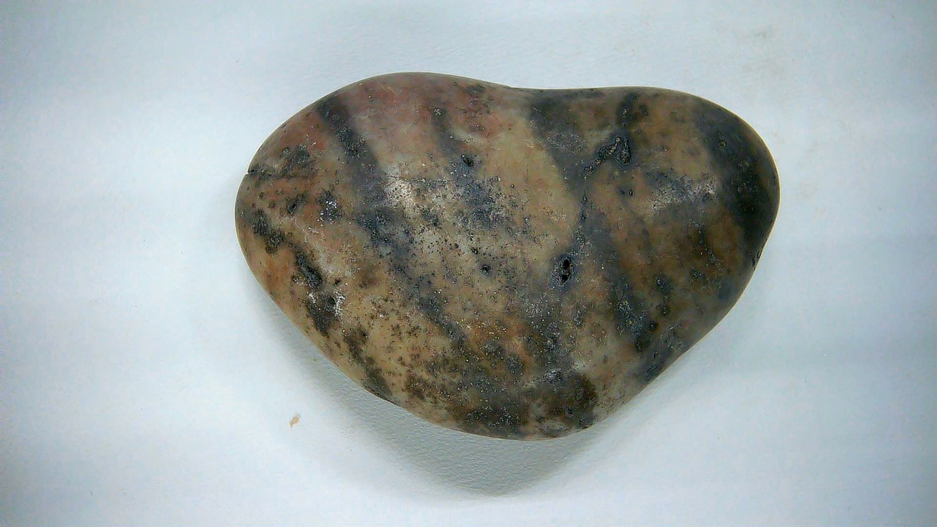 Dinosaur Gastrolith or Gizzard Stone For Sale from Utah